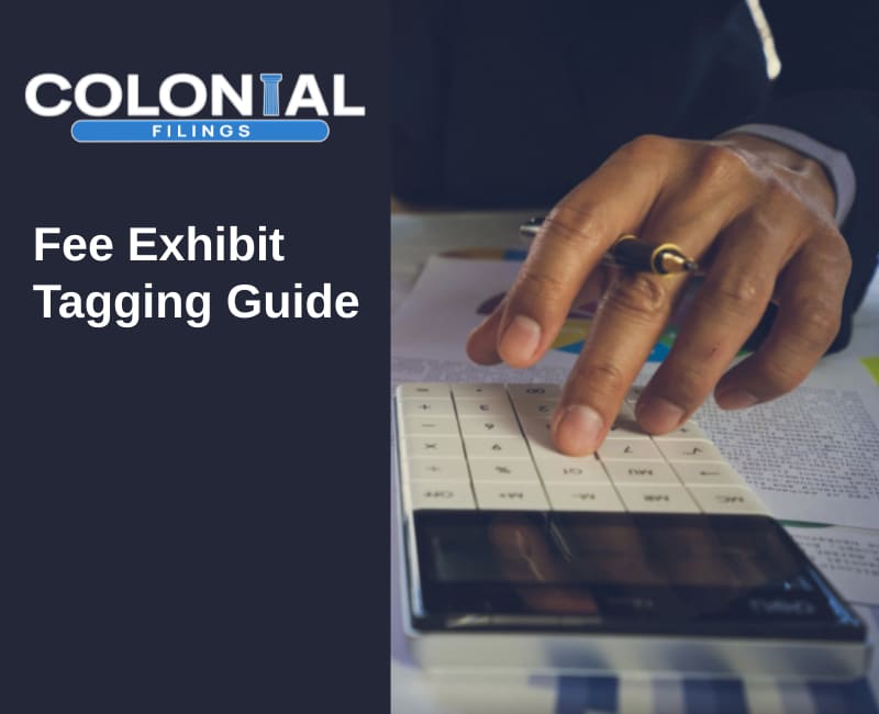 What's Included in 10-K Filings?